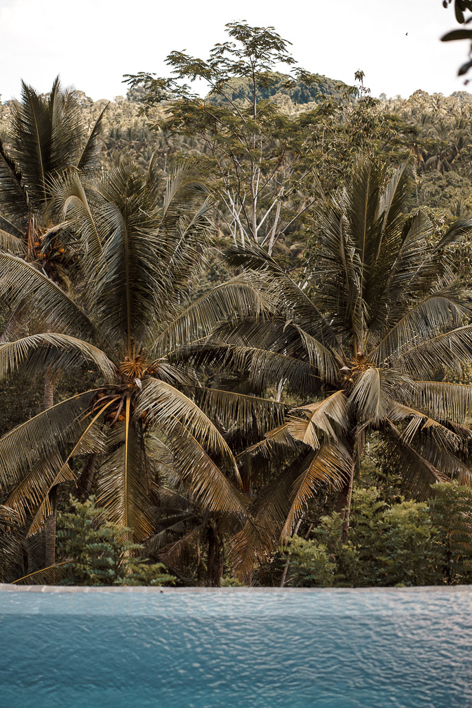 Peter Dittmar - Sören Funk | Fotograf & Videograf